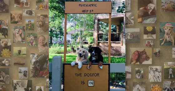 The Scientifically-Backed Benefits of Pet Ownership