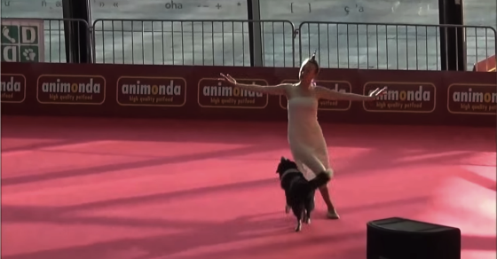 A Dog Matches Her Owner’s Every Move and Step in This Magical Dance