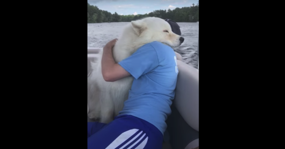 This Snuggle Between a Dog and His Human Just Might Be the Best Hug Ever
