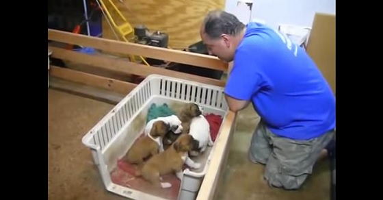 This Man Singing Puppies to Sleep will Melt Your Heart