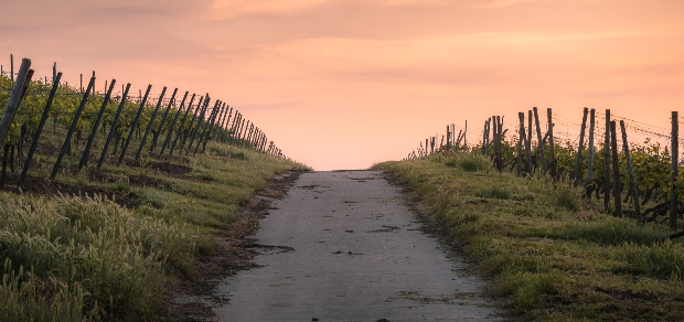 How to Enter the World Again Without Fear