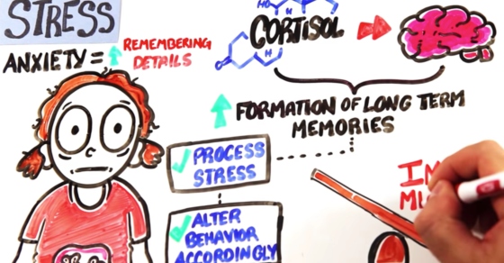 Simple Exercises to Improve Your Memory Instantly