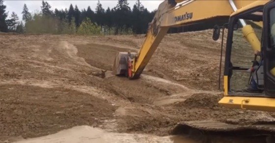 These Construction Workers Used a Giant Backhoe to Rescue This Tiny Fawn