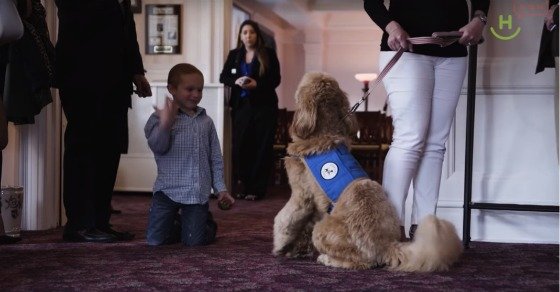 This Funeral Home Dog Comforts People in Their Time of Need