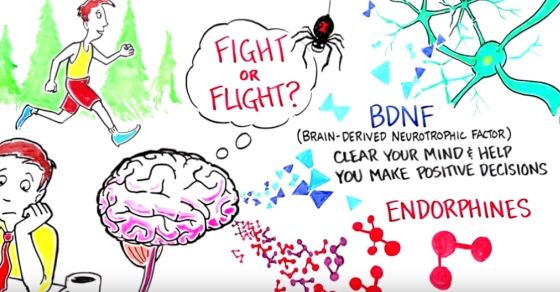 The Stress-Busting Benefits of Morning Exercise