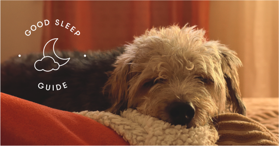 6 Sleep Distractions and What to Do About Them