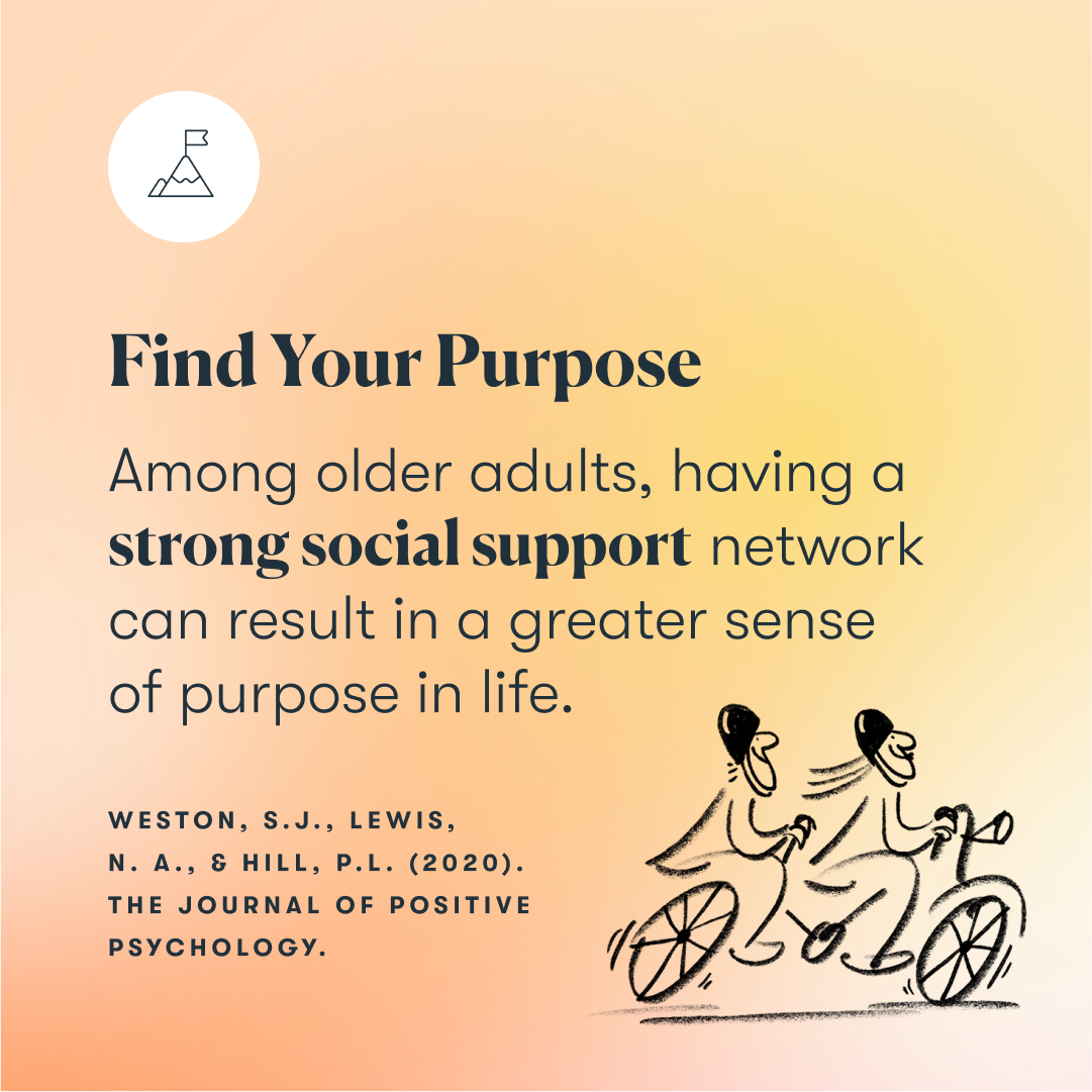 The Link Between Social Support And Purpose The Link Between Social Support And Purpose