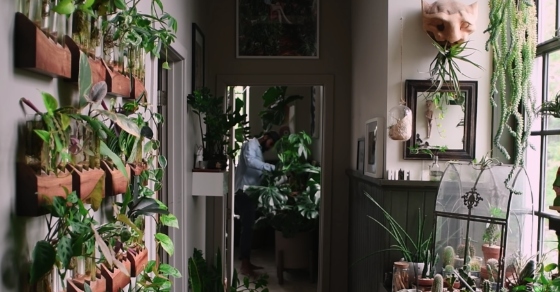 Take a Tour of a Plant-Filled Indoor Paradise