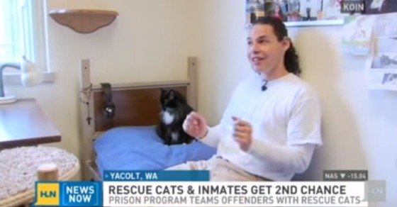 Both These Cats and These Prisoners are Getting a Second Chance at Life