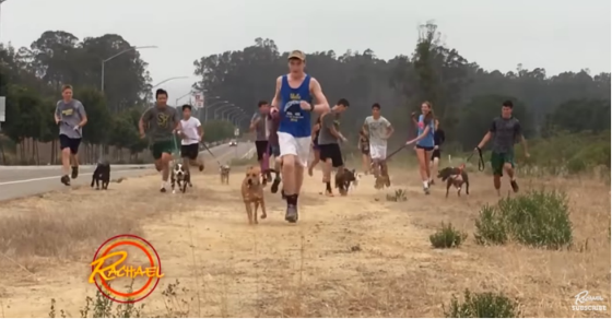 This Cross Country Coach Paired His Runners with Shelter Dogs, and ...